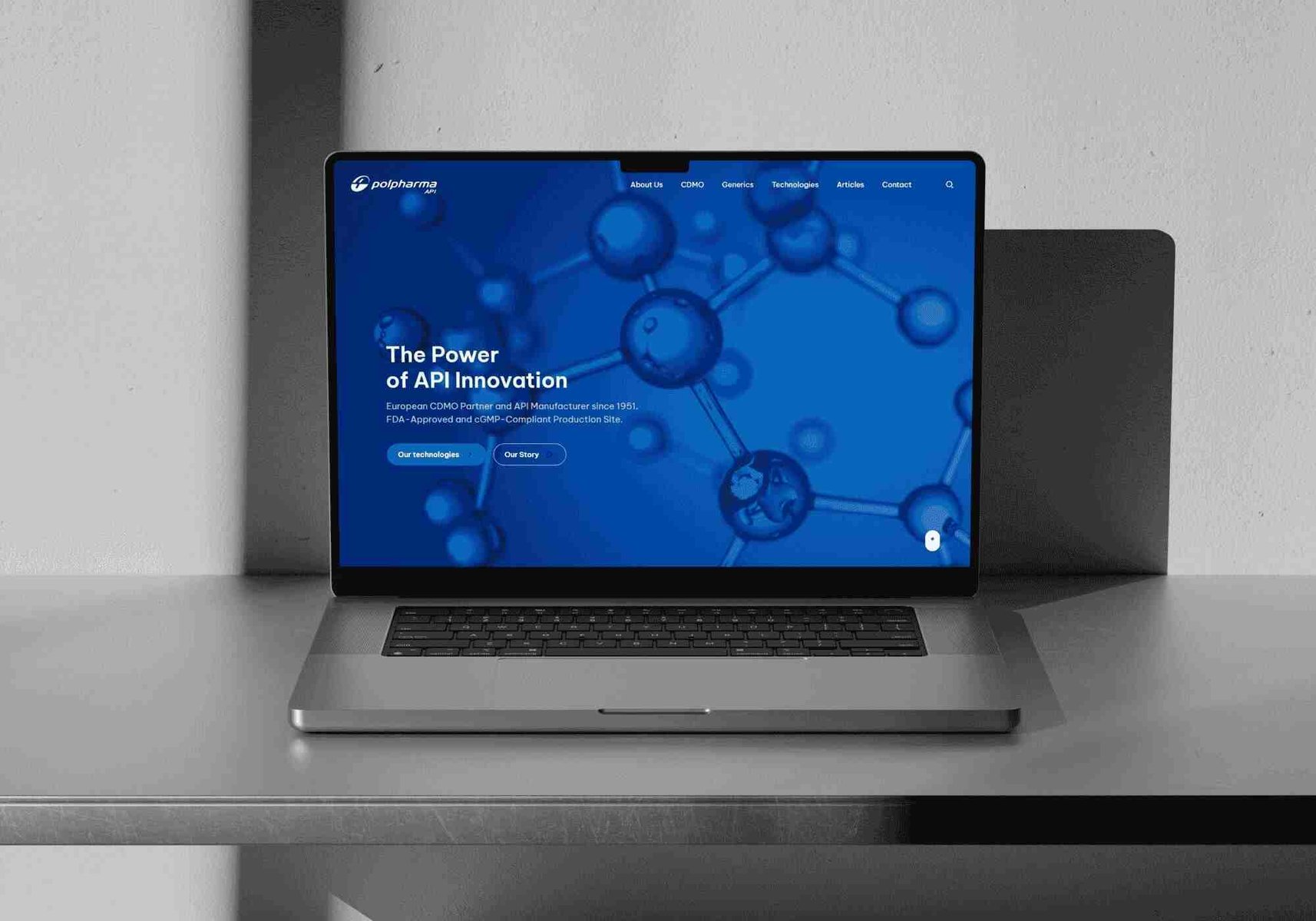 Web Development Services | Netguru